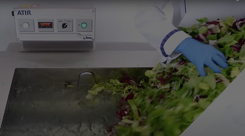 Nilma | Atir - Universal Vegetable Washers